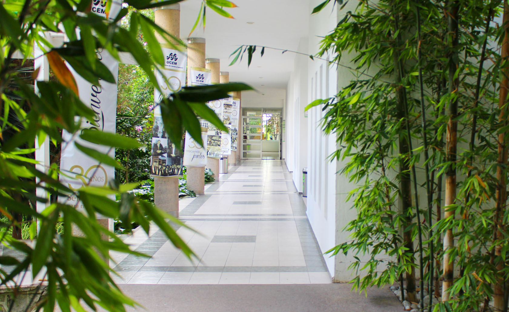 Instalaciones UCEM :: Universidad del Centro de México